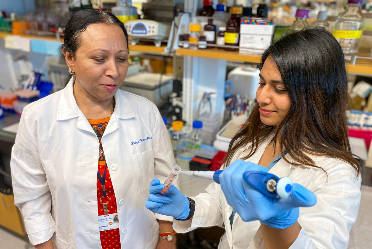 Student Research Fellowship Program | NEOMED