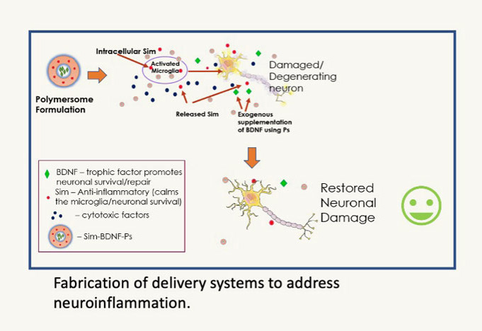 Oyewumi Lab | Department of Pharmaceutical Sciences | NEOMED